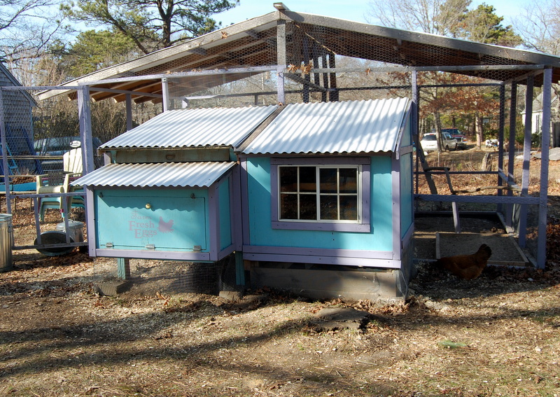 Chicken Coop - The Cape Coop