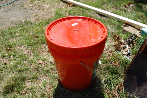 Chicken Manure Tea for seedlings