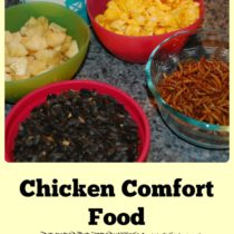 Water Belly (Ascites) in Chickens - The Cape Coop