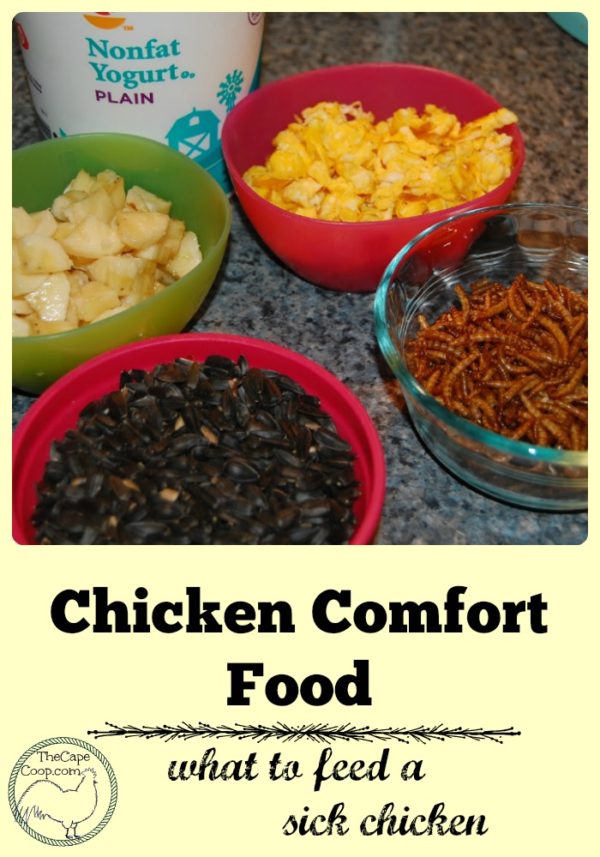 Chicken Comfort Food