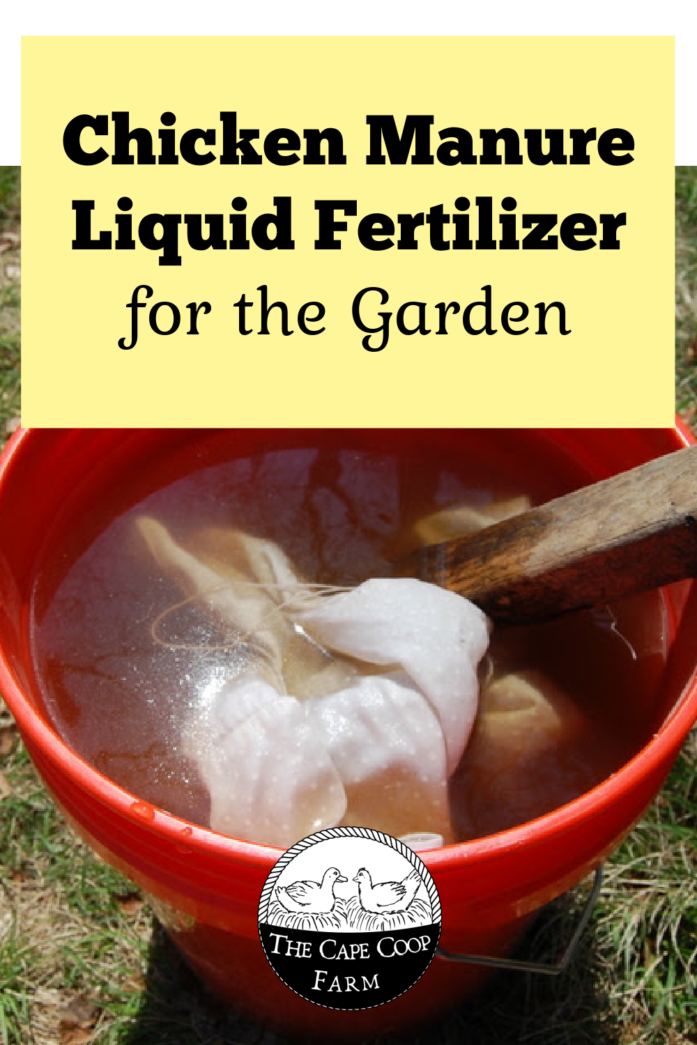 Chicken Manure Tea for seedlings