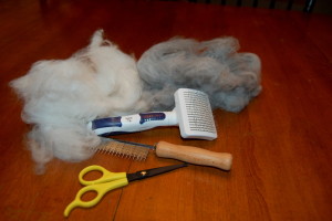 How to Groom Angora Rabbits