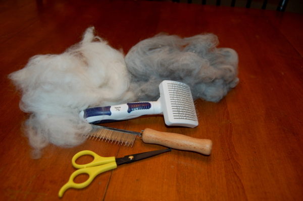 How to Groom Angora Rabbits