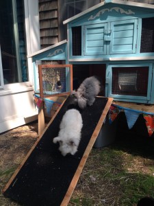 Building a raised base for a rabbit hutch