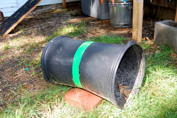 Photo Tour of our Rabbit Yard