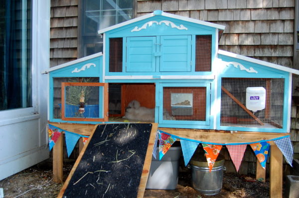 Photo Tour of our Rabbit Yard