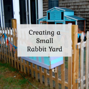 Setting up an Outdoor Rabbit Space - The Cape Coop