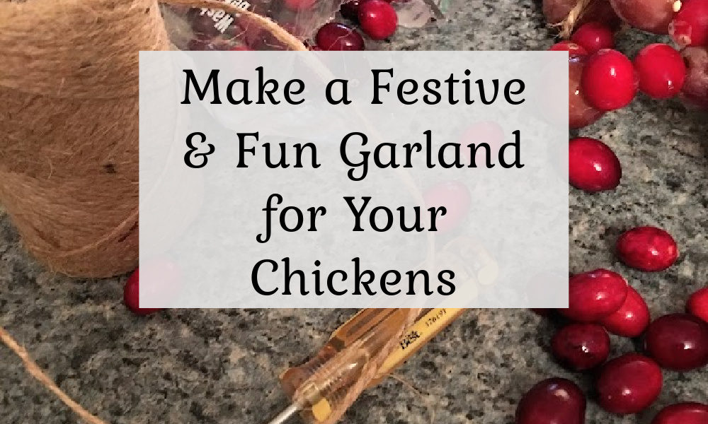 Festive Garland for Chickens