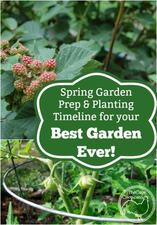 Spring Garden Prep, Planting Timeline for Your Best Garden Ever! - The ...