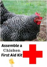 Chicken First Aid Kit - The Cape Coop