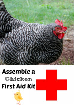 Chicken First Aid Kit - The Cape Coop