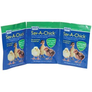 Chicken First Aid Kit - The Cape Coop