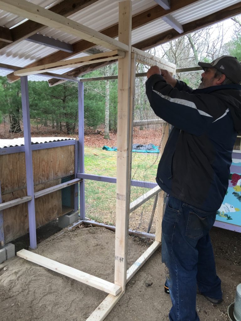 How to Make a Duck House - The Cape Coop