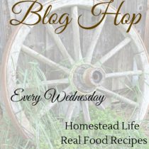 Setting Homestead Goals in 3 Simple Steps! - The Cape Coop