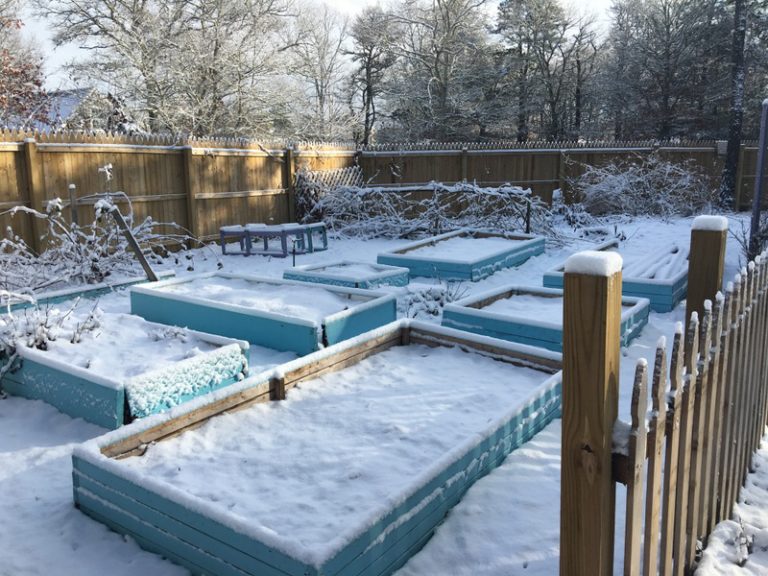 Preparing your Backyard Farm for Winter Weather - The Cape Coop