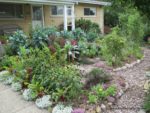 The Suburban Micro Farm - The Cape Coop