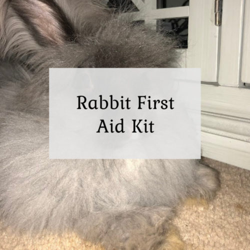 Rabbit First Aid Kit - The Cape Coop