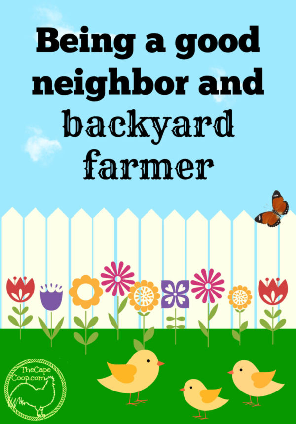 Being a Good Neighborhood Farmer - The Cape Coop