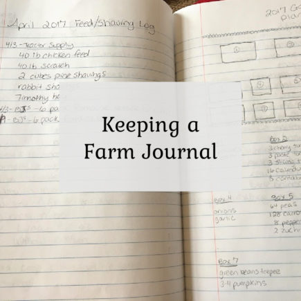 Keeping a Farm Journal - The Cape Coop