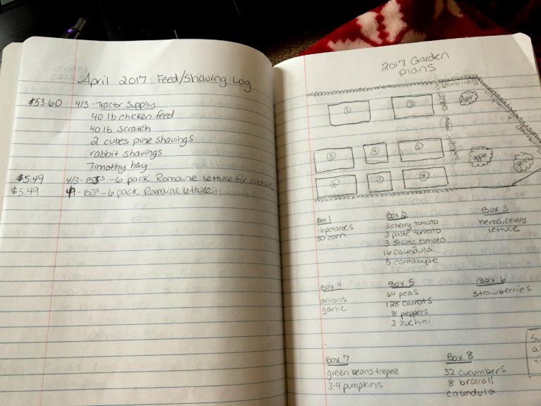 Keeping a Farm Journal - The Cape Coop