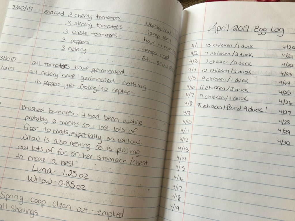 Keeping a Farm Journal - The Cape Coop