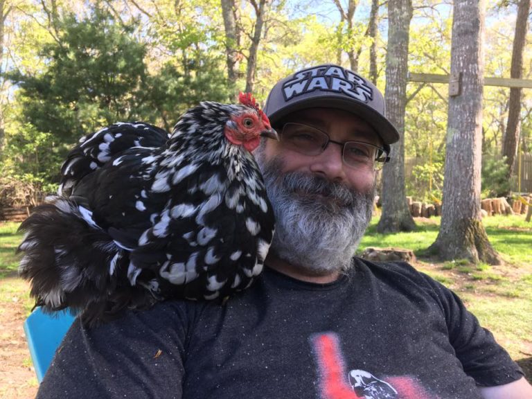 Best Chicken Breeds for Pets - The Cape Coop