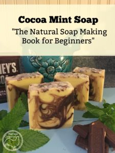 Cocoa Mint Soap Recipe & The Natural Soap Making Book - The Cape Coop