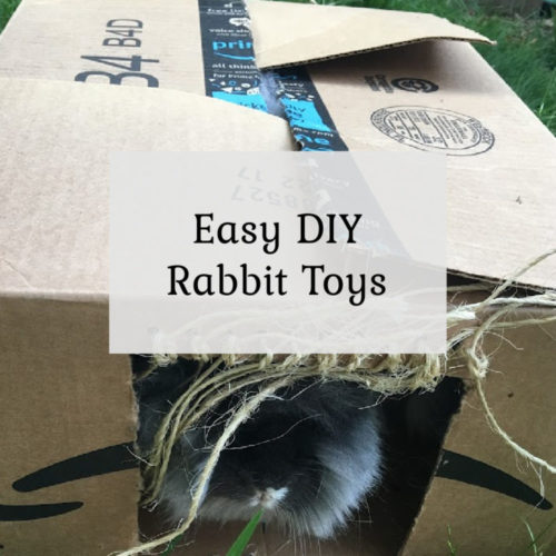 Easy DIY Rabbit Toys - The Cape Coop