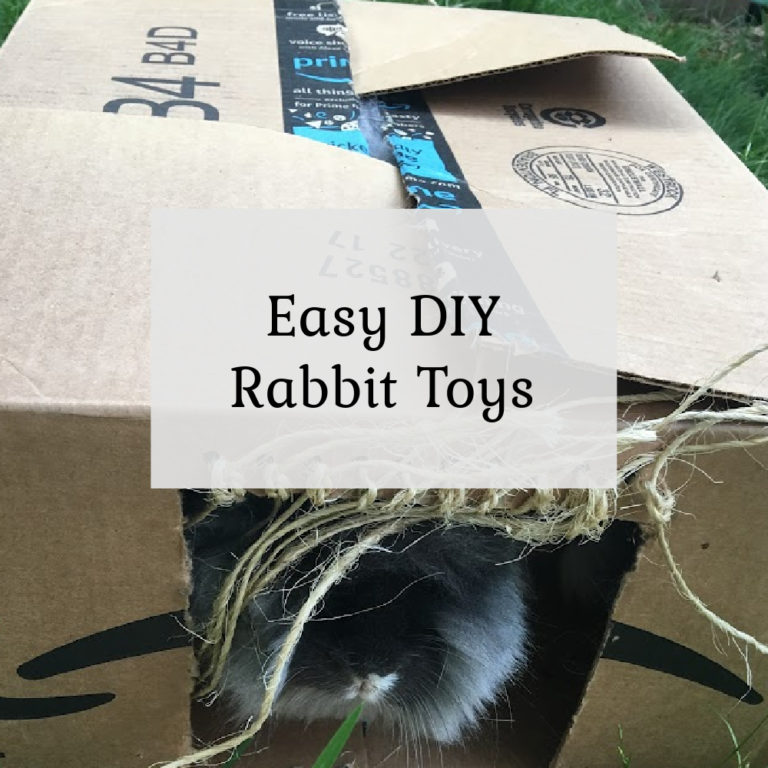 Easy DIY Rabbit Toys - The Cape Coop
