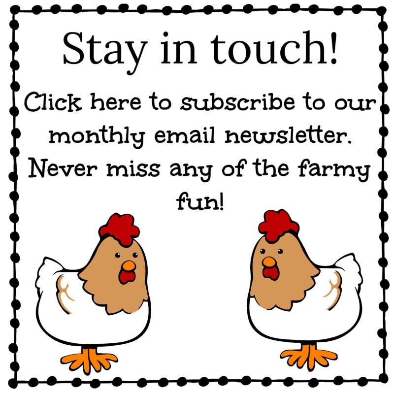 Understanding Backyard Duck Behavior - The Cape Coop