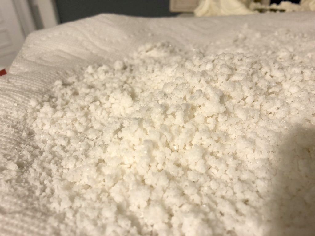 Foraging & Harvesting Sea Salt - The Cape Coop