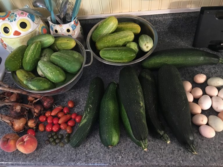 Rabbit Manure in the Garden - The Cape Coop