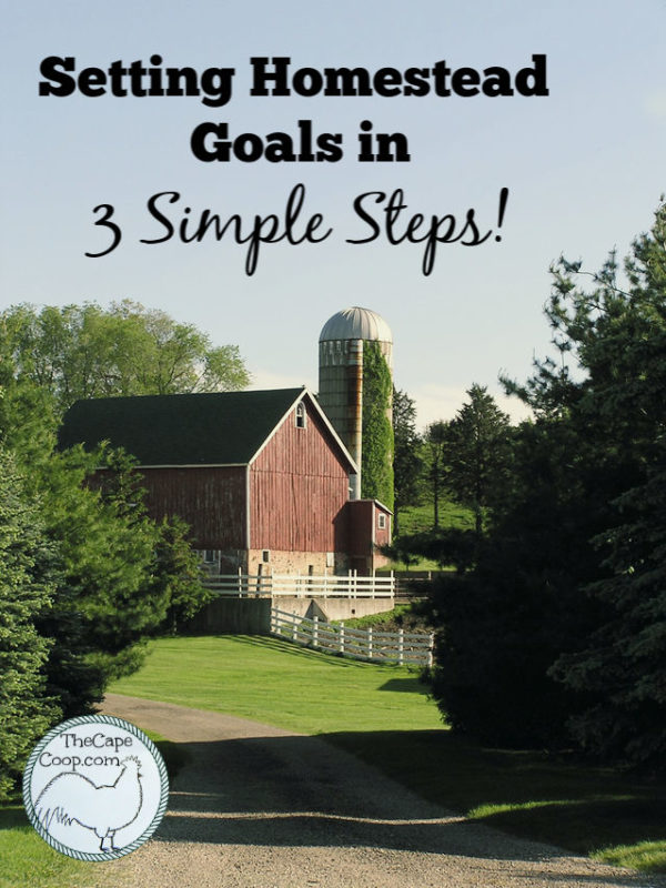 Setting Homestead Goals in 3 Simple Steps! - The Cape Coop