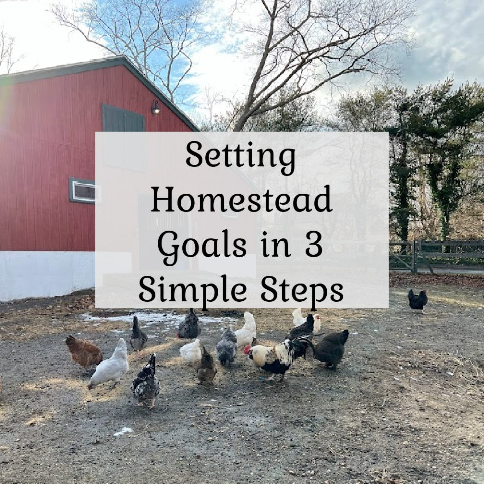 Homesteading - The Cape Coop