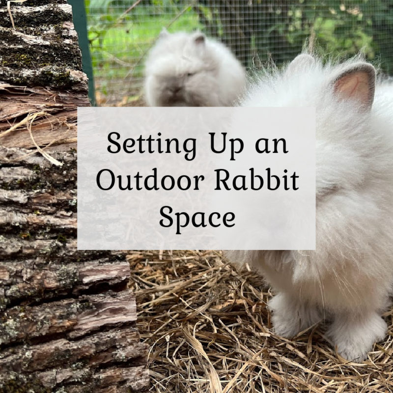 outdoors - The Cape Coop