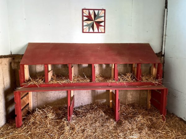 Building Chicken & Duck Nest Boxes - The Cape Coop