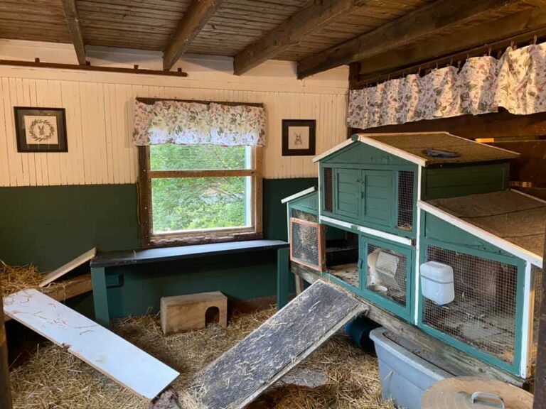 Setting up an Outdoor Rabbit Space - The Cape Coop