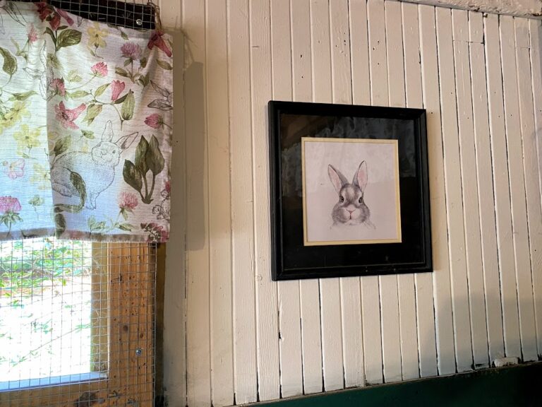 Making a Bunny Barn - Rabbit Enclosure in Barn Stall - The Cape Coop