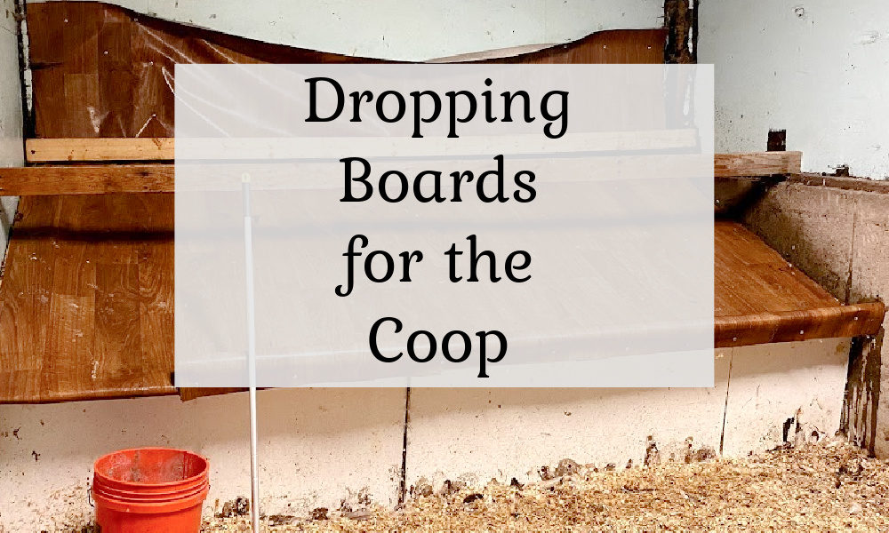 Dropping Board for Your Chicken Coop - The Cape Coop