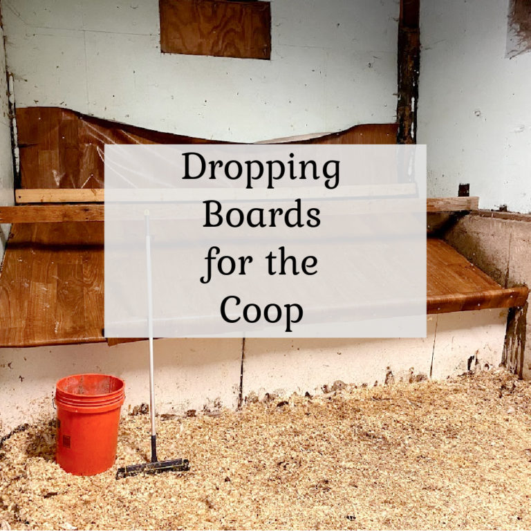 Dropping Board for Your Chicken Coop - The Cape Coop