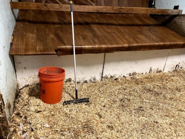 Dropping Board for Your Chicken Coop - The Cape Coop
