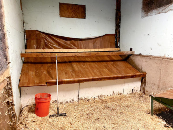 Dropping Board for Your Chicken Coop - The Cape Coop