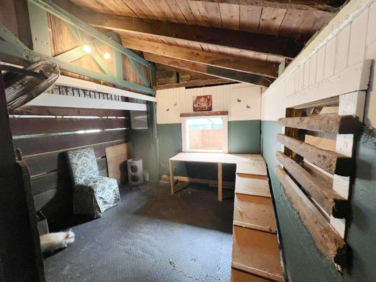 Setting up an Outdoor Rabbit Space - The Cape Coop