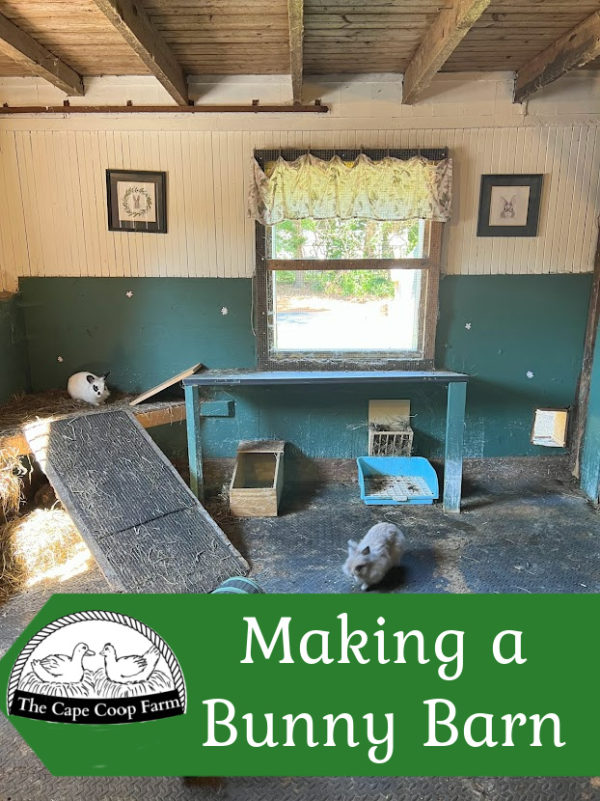 Making a Bunny Barn - Rabbit Enclosure in Barn Stall - The Cape Coop