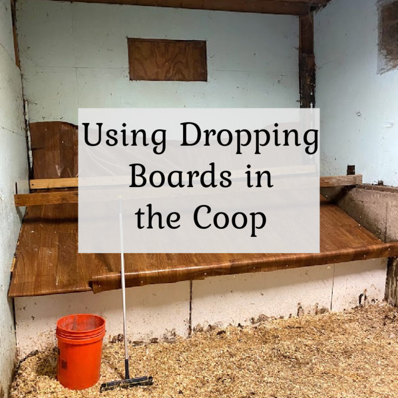 board1 - The Cape Coop