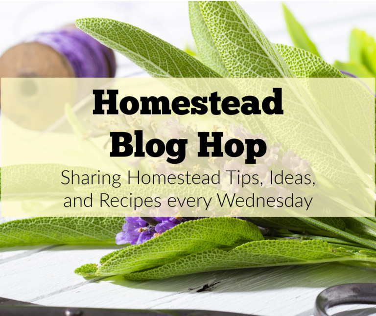 Homestead Blog Hop #555 - July 2 - The Cape Coop