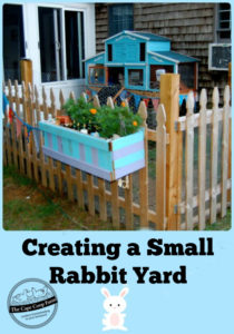 Photo Tour of our Rabbit Yard