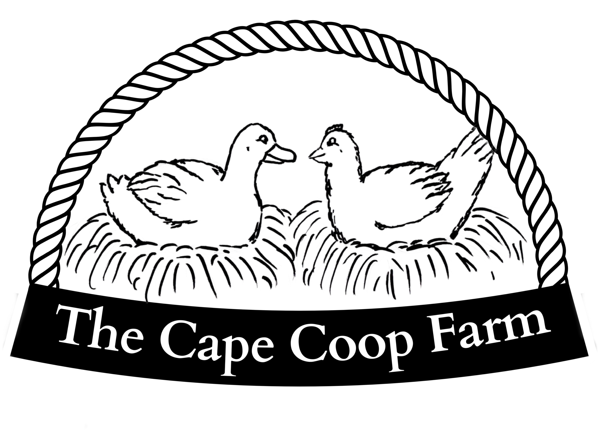 Setting up an Outdoor Rabbit Space - The Cape Coop