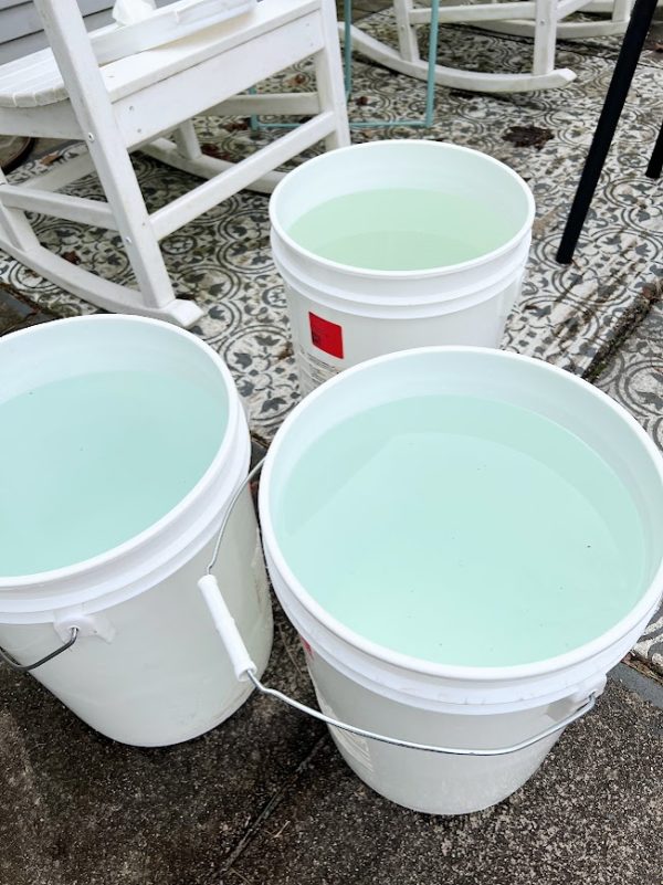 How to Collect Sap for Maple Syrup - The Cape Coop