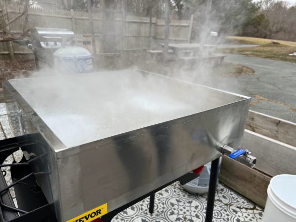 How to Collect Sap for Maple Syrup - The Cape Coop